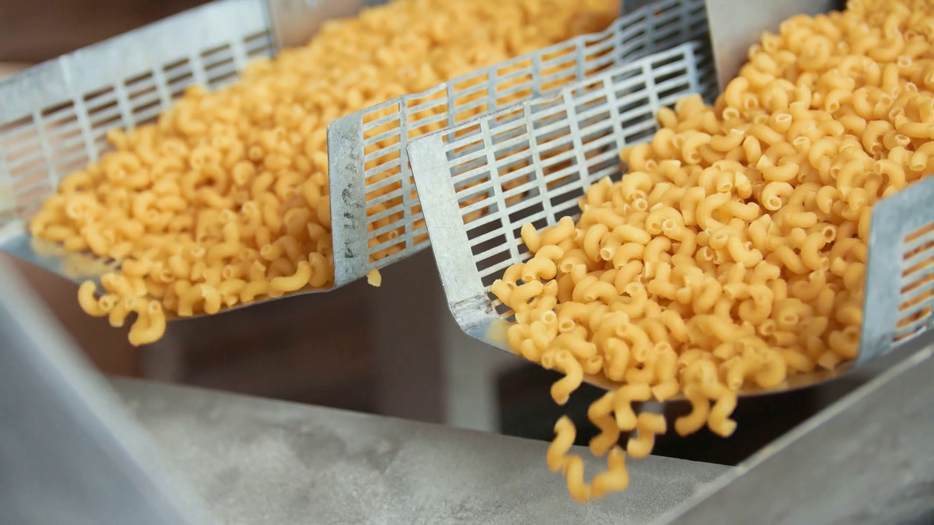 Explore the World of Pasta Production Line